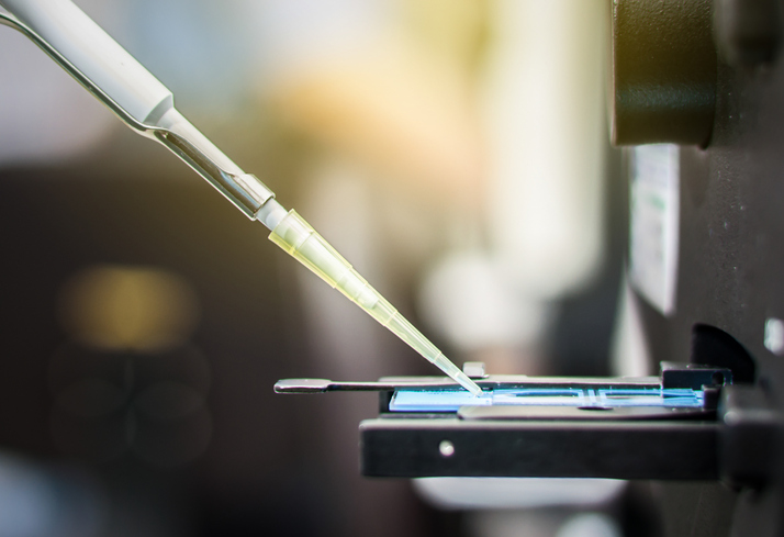 Seminograma o espermograma: ¿en qué consiste y cuál es su precio?